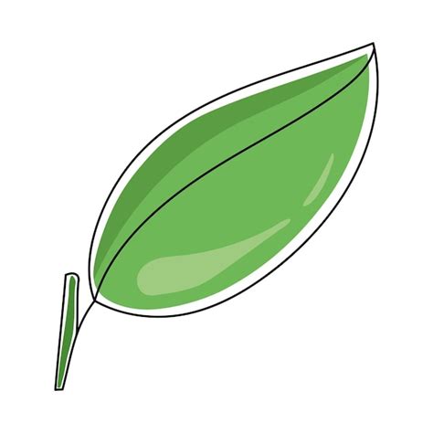 Premium Vector Vector Illustration Of A Tea Leaf