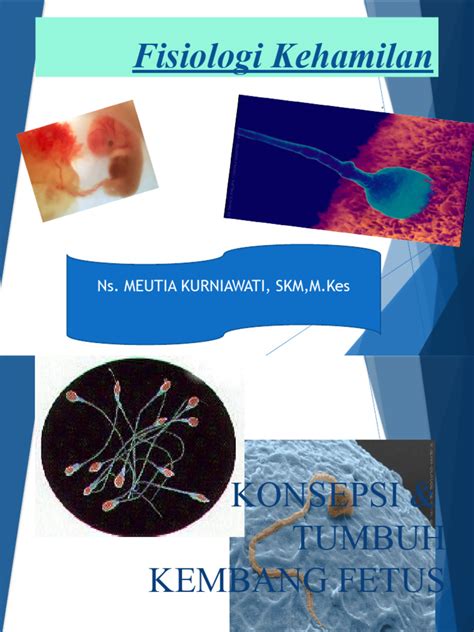 Ppt Fisiologi Kehamilan Pdf