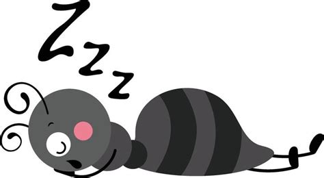 Sleeping Bee Vector Art Icons And Graphics For Free Download