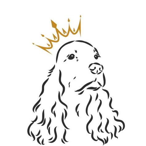 Julius Rose English Cockers