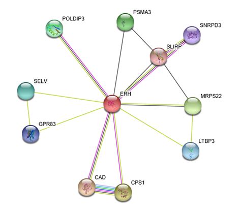 Erh General Information Sino Biological