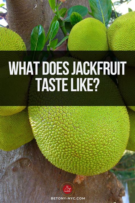 What Does Jackfruit Taste Like Betony