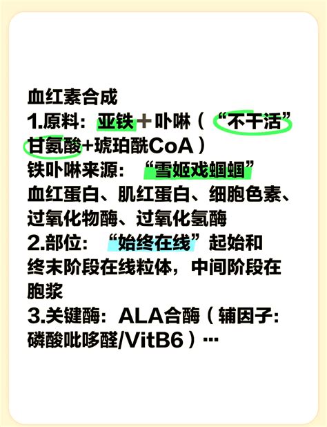 血红素合成的关键步骤和酶