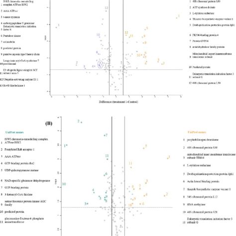 A Principal Component Analysis Generated During Perseus Analysis The