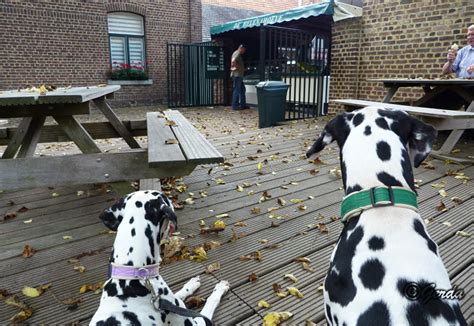 Eperheide Zuid Limburg