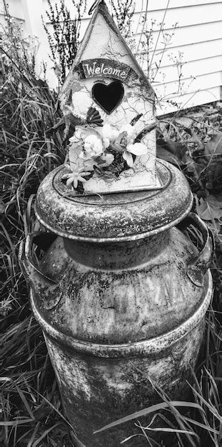 Close Up Of Grass Premium Photo