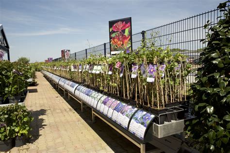 Display Products Ibiko