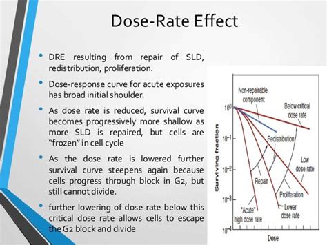 Fractionated Radiation And Dose Rate Effect Dose Response Curves For