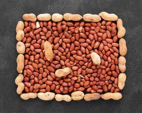 Whole With Skin Groundnut Kernels Bold Java Peanuts 50 Kg At Best