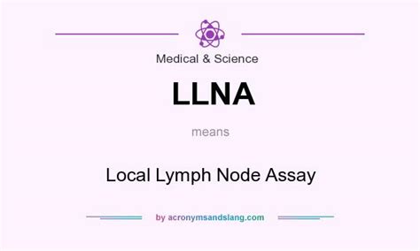 What Does Llna Mean Definition Of Llna Llna Stands For Local Lymph