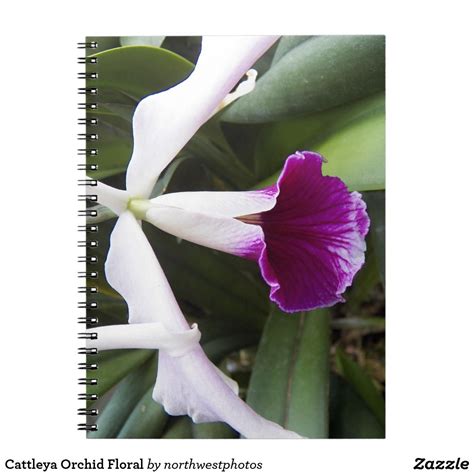 Cattleya Notebook Design