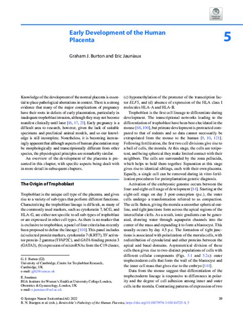 Pdf Early Development Of The Human Placenta