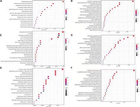Functional Enrichment Analysis Of Overlapping Genes Among Four