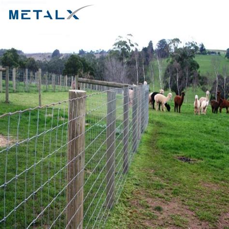 Sheep Farm Fence Wire Mesh Galvanized Hog Wire Fence Panels Sheep