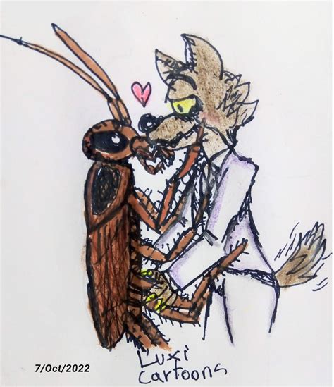 Mr Wolf X Cockroach By Luxicartoons On Deviantart