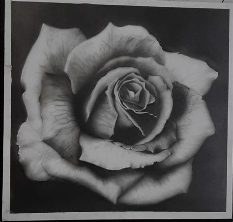 آموزشگاه هنرهای تجسمی شانار؛ تلفن، ساعت کاری، تصاویر و نظرات کاربران