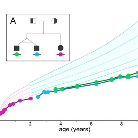 Microsomal Triglyceride Tg Transfer Protein Mtp And Lipoprotein Download Scientific Diagram