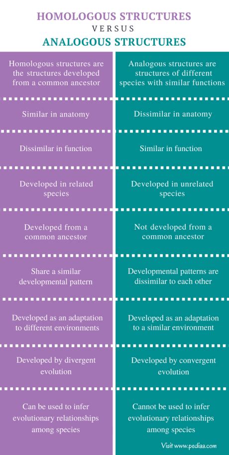 Difference Between Homologous And Analogous Structures