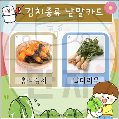 교구 김치 종류 낱말카드 만자디자인