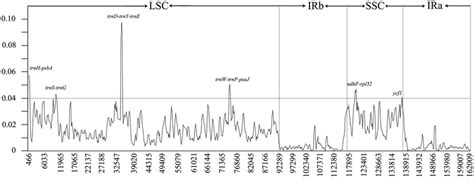 Sliding Window Analysis Of Six Complete Chloroplast Genomes Of Download Scientific Diagram