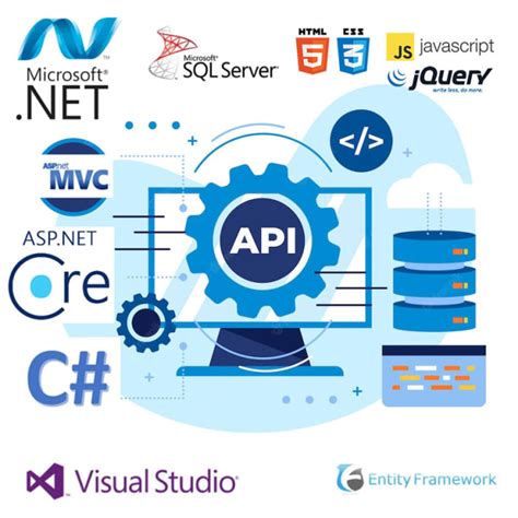develop web and desktop application in asp dot net by robrana fiverr