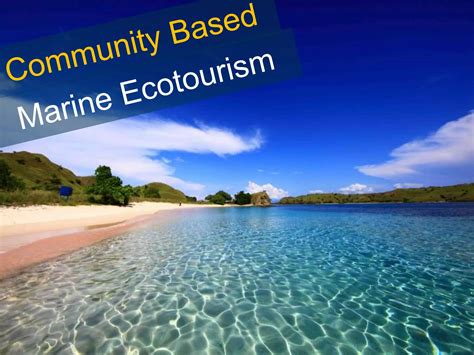 Lspr Essay Presentation Ppt