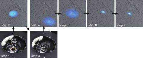 Real Time Imaging Of Plant Cell Surface Dynamics With Variable Angle