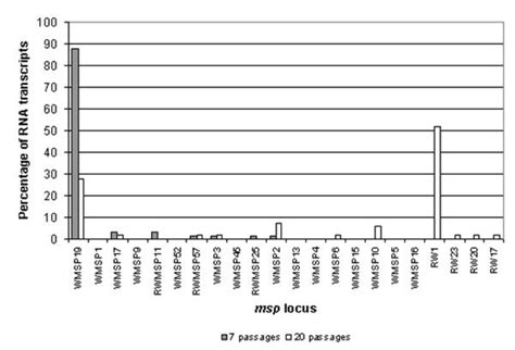 Histogram Of 22 Msp2 Loci And Percentage Of Total Rna Transcripts
