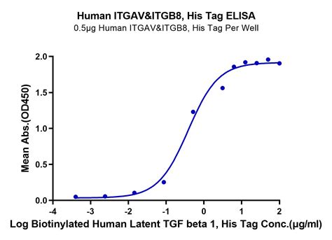 Human Integrin Alpha V Beta 8 Itgavanditgb8 Heterodimer Protein Itg H Kactus