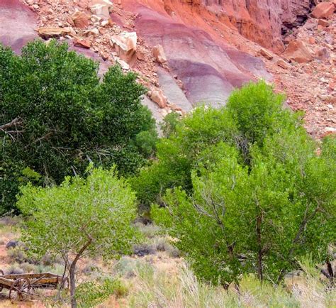 Best Campgrounds Near Boulder Ut