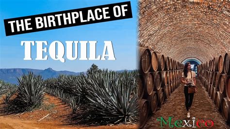 Visiting The Home Of Tequila In Mexico Tequila Town And Distillery
