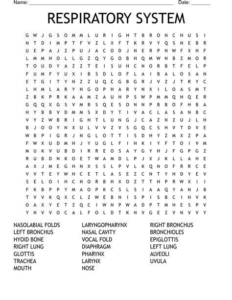 Respiratory System Word Search Wordmint
