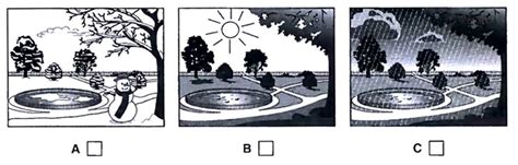 Practice English Listening Test For B1 With Answer And Audioscript