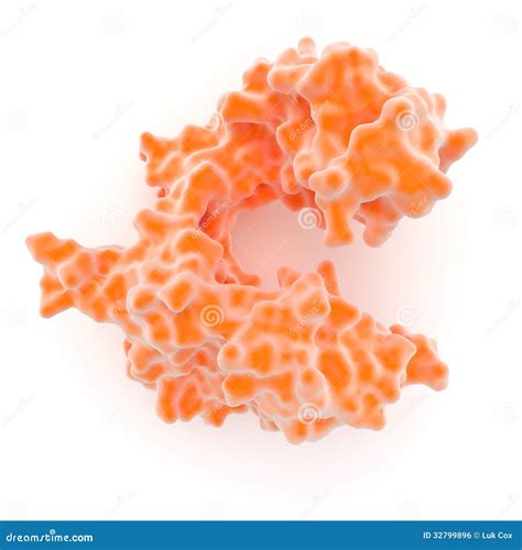 Dna Polymerase Enzyme Syntheses Labeled Educational Vector Illustration