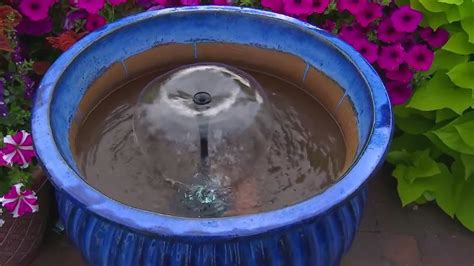 Water Bubbler