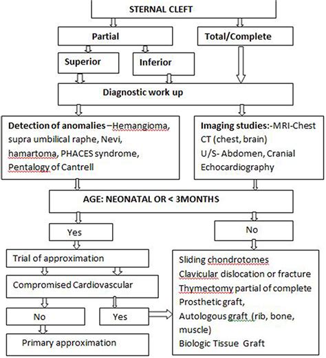 Isolated V Shape Sternal Cleft Chest Wall Malformatation Phmt
