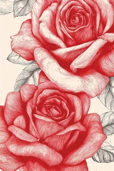 Rose Drawing Red Roses Art Drawing Red And Pink Roses Art Red Roses
