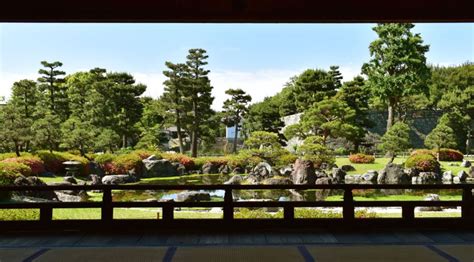 Shiromi White Fleshed Fish Qaz Japan