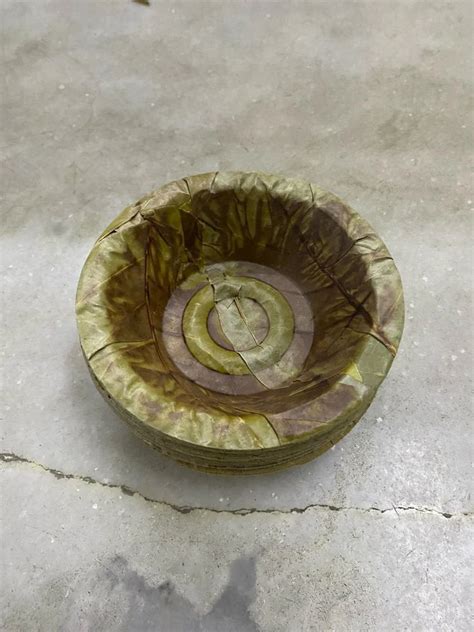 Sal Leaf Dona Capacity 300ml At ₹ 1050pack In Renwal Id 2850019645248