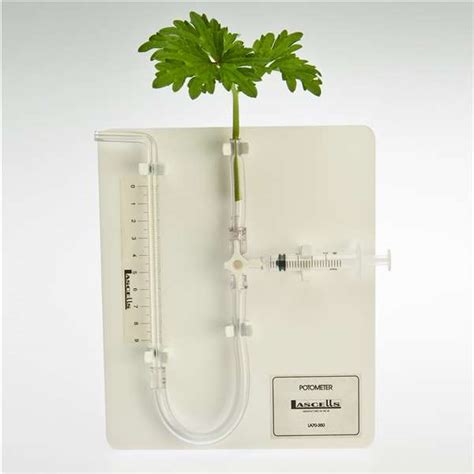 Potometer School Science Equipment Uk