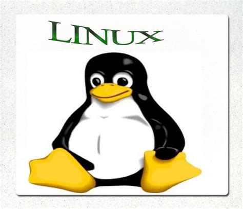 lex tool manual pdf