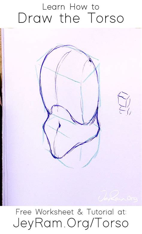 How To Draw The Torso Free Worksheet Tutorial Drawing Tutorials For Beginners Sketch Book