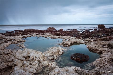 What Is A Tide Pool Ecosystem