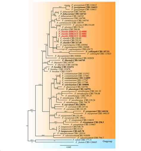the best scoring raxml tree obtained from the combined with rpb2