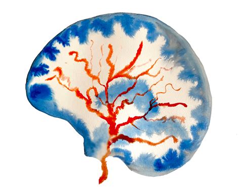 Neuroscience Brain Art Greg Dunn Neuro Art On X This Years 40 Off
