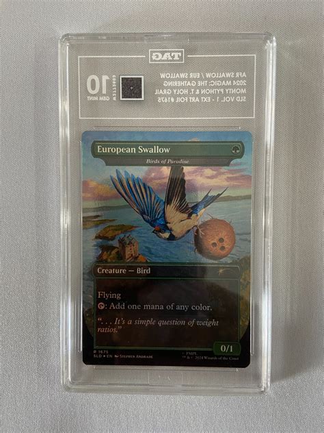 2024 Magic Gathering Mtg Monty Python African Swallow Foil 1675 Tag 10