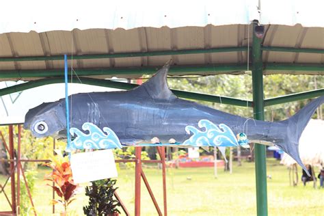 Look Fish Lanterns And More At Sorsu Mcs Fish Conservation Week