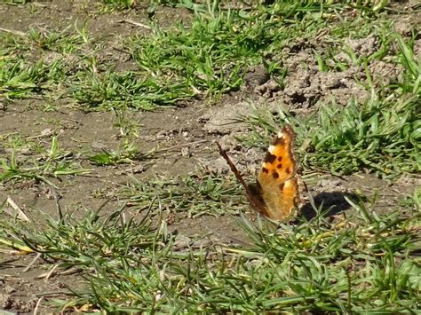 Bache Pour Serre Comparateur De Prix 2026