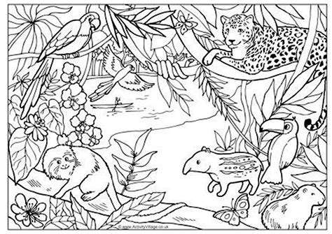 Ecosistemas Dibujo Para Colorear