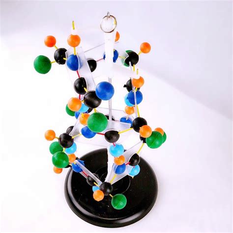 Biologische Onderwijs Eiwit Secundaire Structuur M Vicedeal